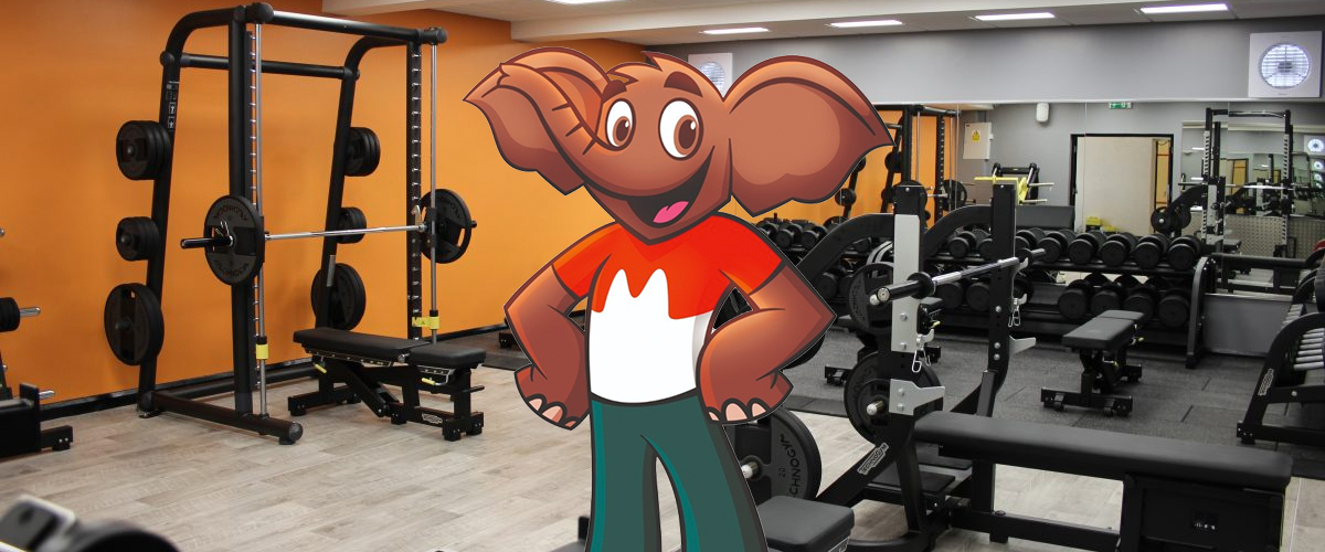 Pérdida de peso del elefante de Choco Krispis causa preocupación por su ...